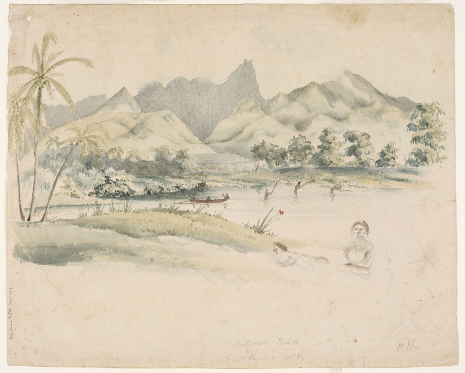 How did Philip Gidley King meet Charles Darwin? - Tamworth Historical ...